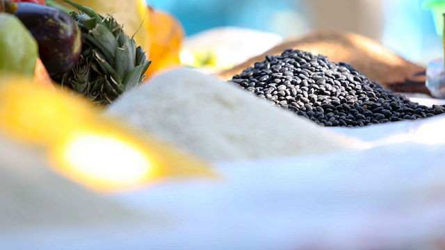 The "Rice Basket" of Haiti - Hôpital Albert Schweitzer Haiti